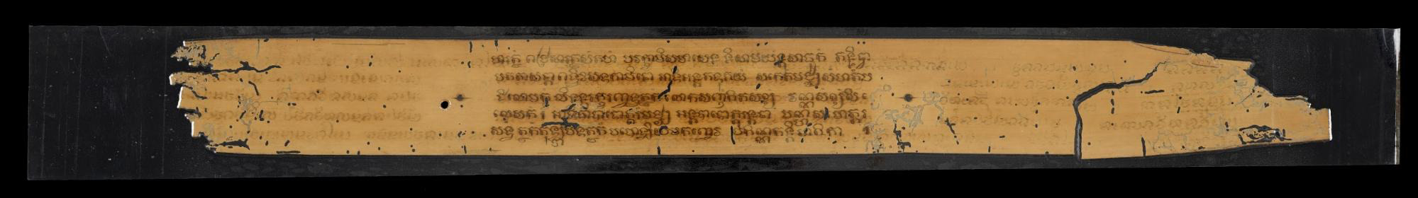 BUDA - Buddhist Digital Archives